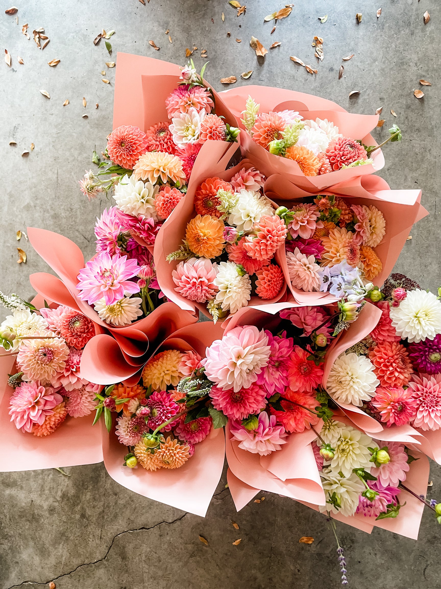 In Bloom Flower Farm – In Bloom Flower Farm Shop